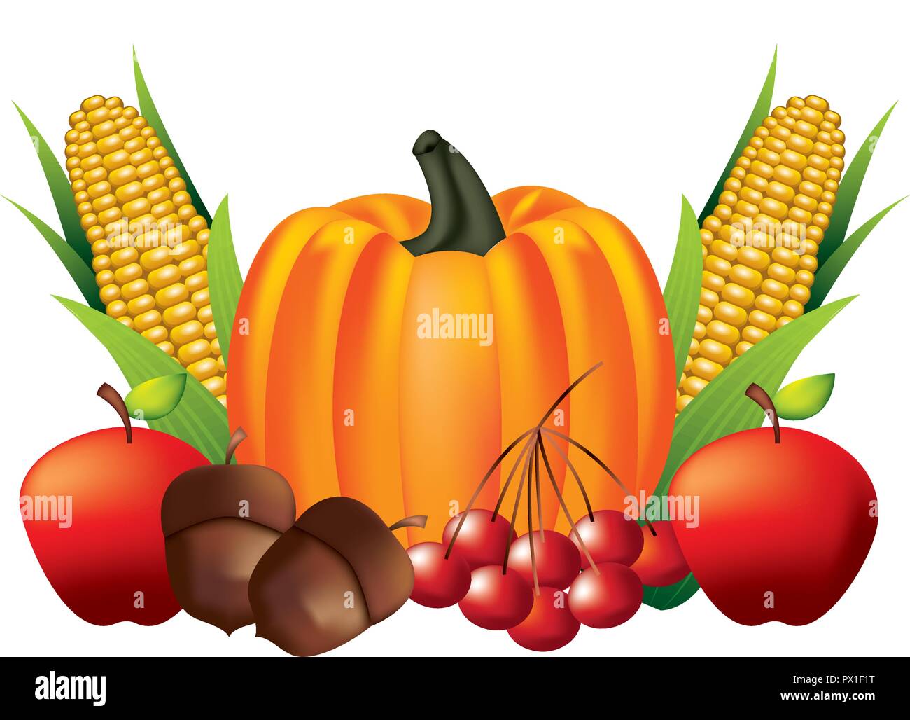 pumpkin vector illustration Stock Vector Image & Art - Alamy
