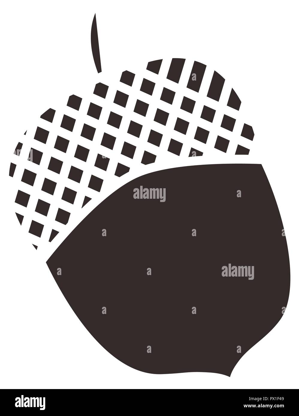 acorn nut on white background vector illustration Stock Vector Image ...