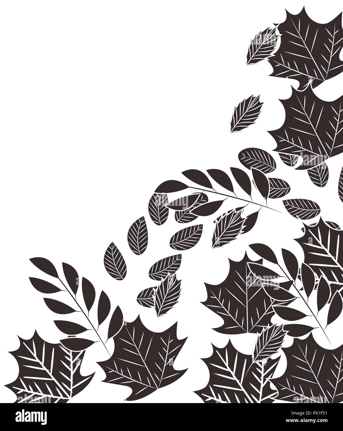 autumn leaf nature on white background vector illustration Stock Vector ...