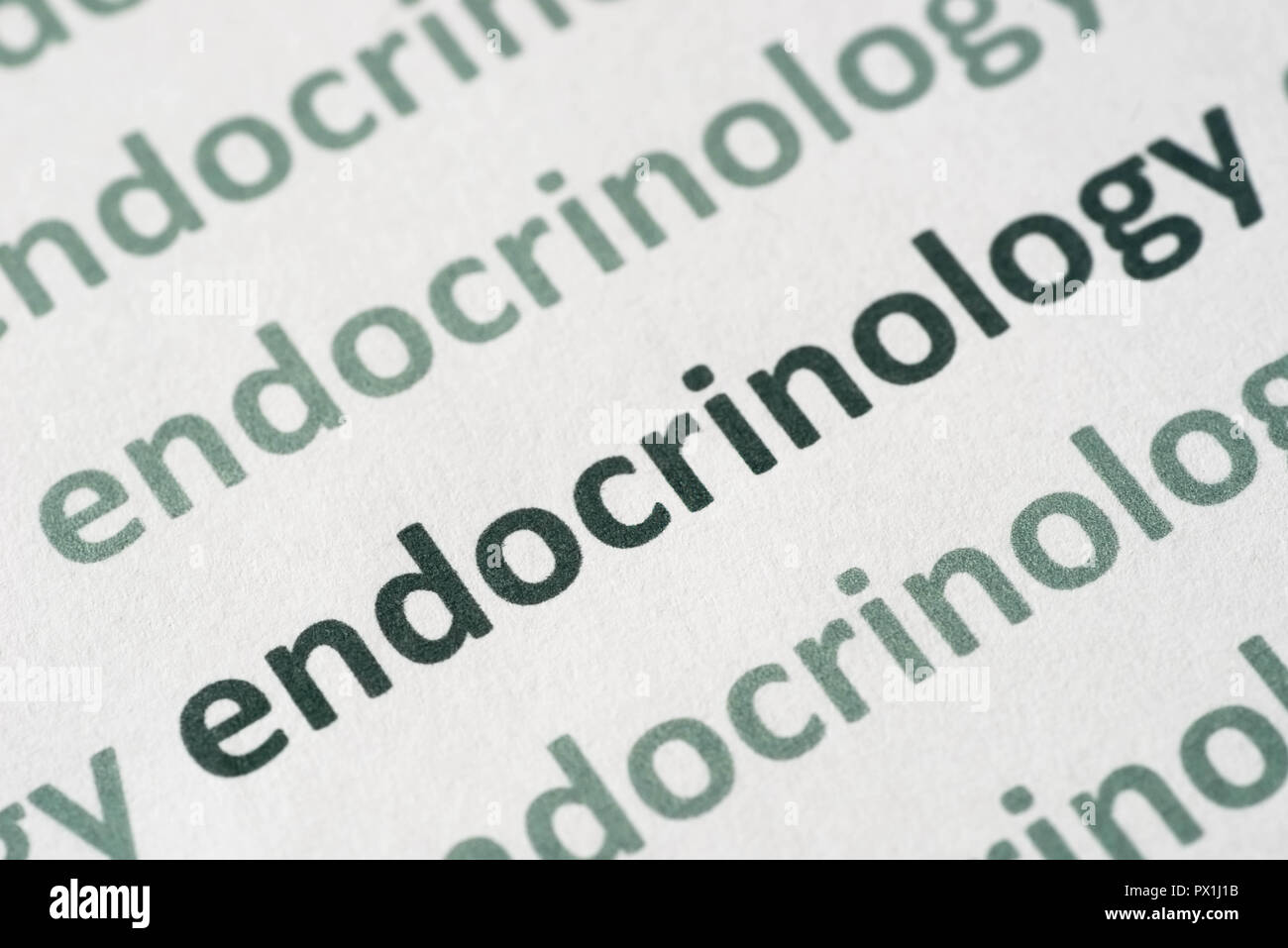 word endocrinology printed on whte paper macro Stock Photo - Alamy
