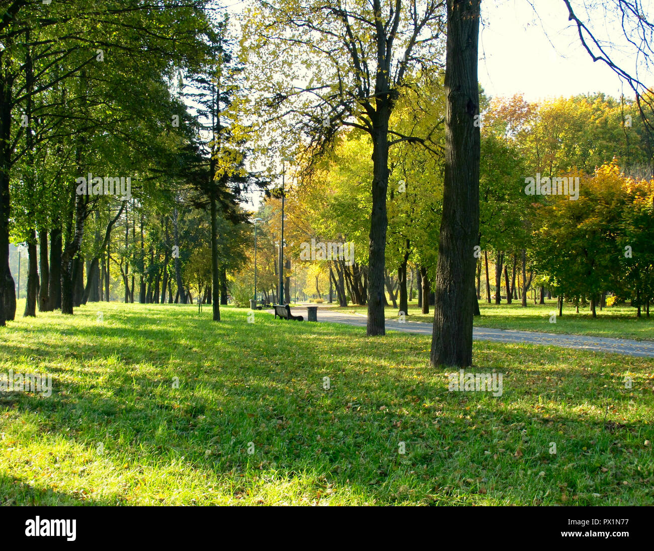 Beautiful park environment hi-res stock photography and images - Alamy