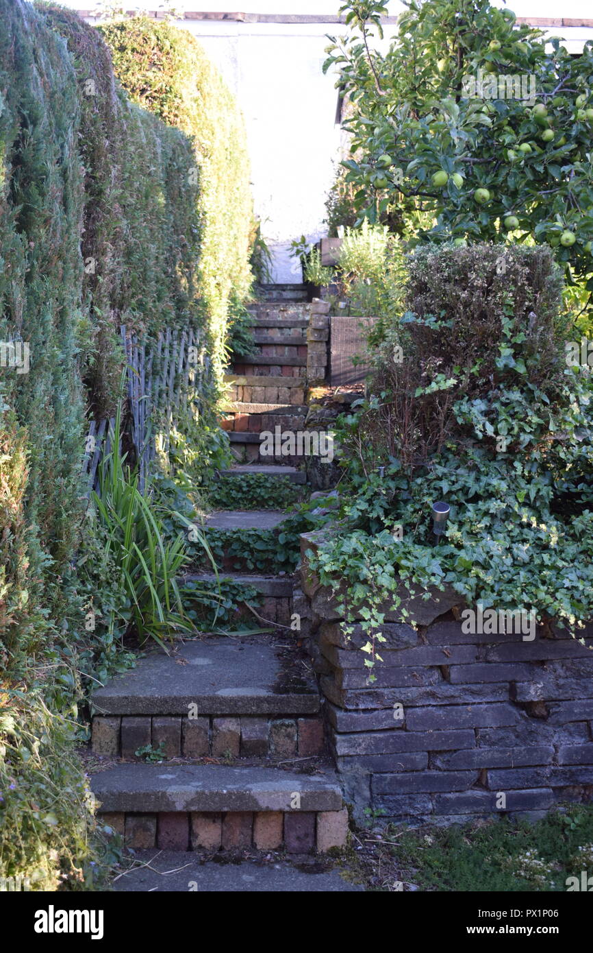 Garden stone steps backyard trees hi-res stock photography and images ...