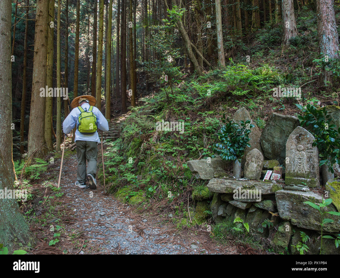 Henro pilgrim walking, henro korogashi forest trail, to Yokomineji ...