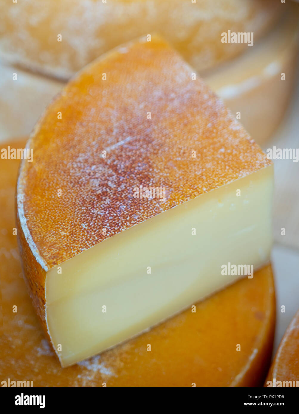 Round cheese head hi-res stock photography and images - Alamy