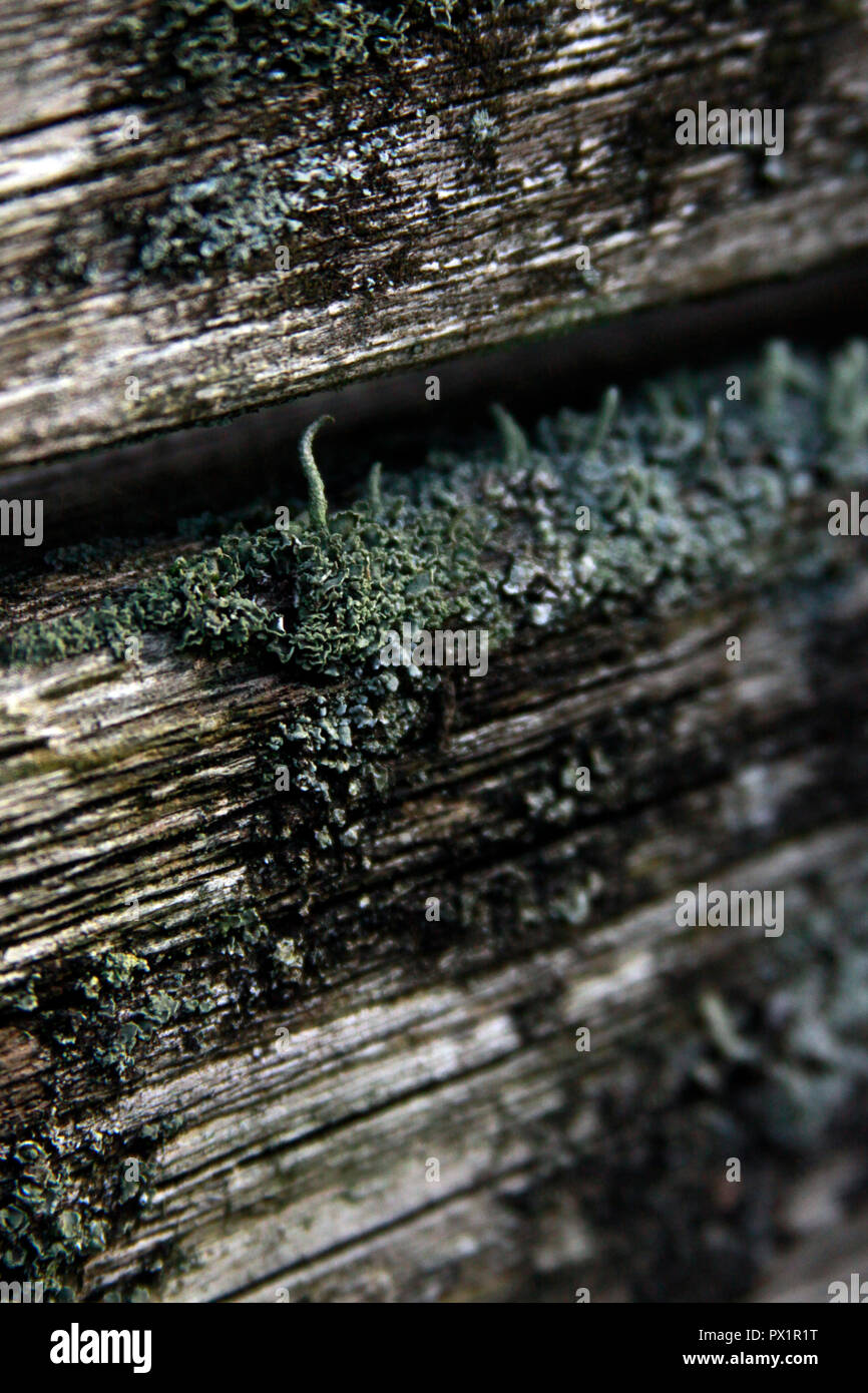 Wood dirty hi-res stock photography and images - Alamy