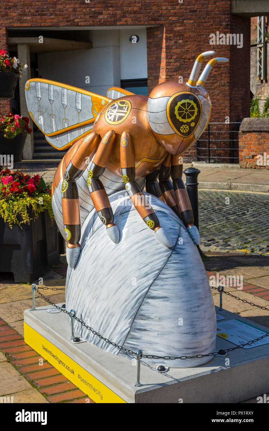 Steam powered bee hi-res stock photography and images - Alamy