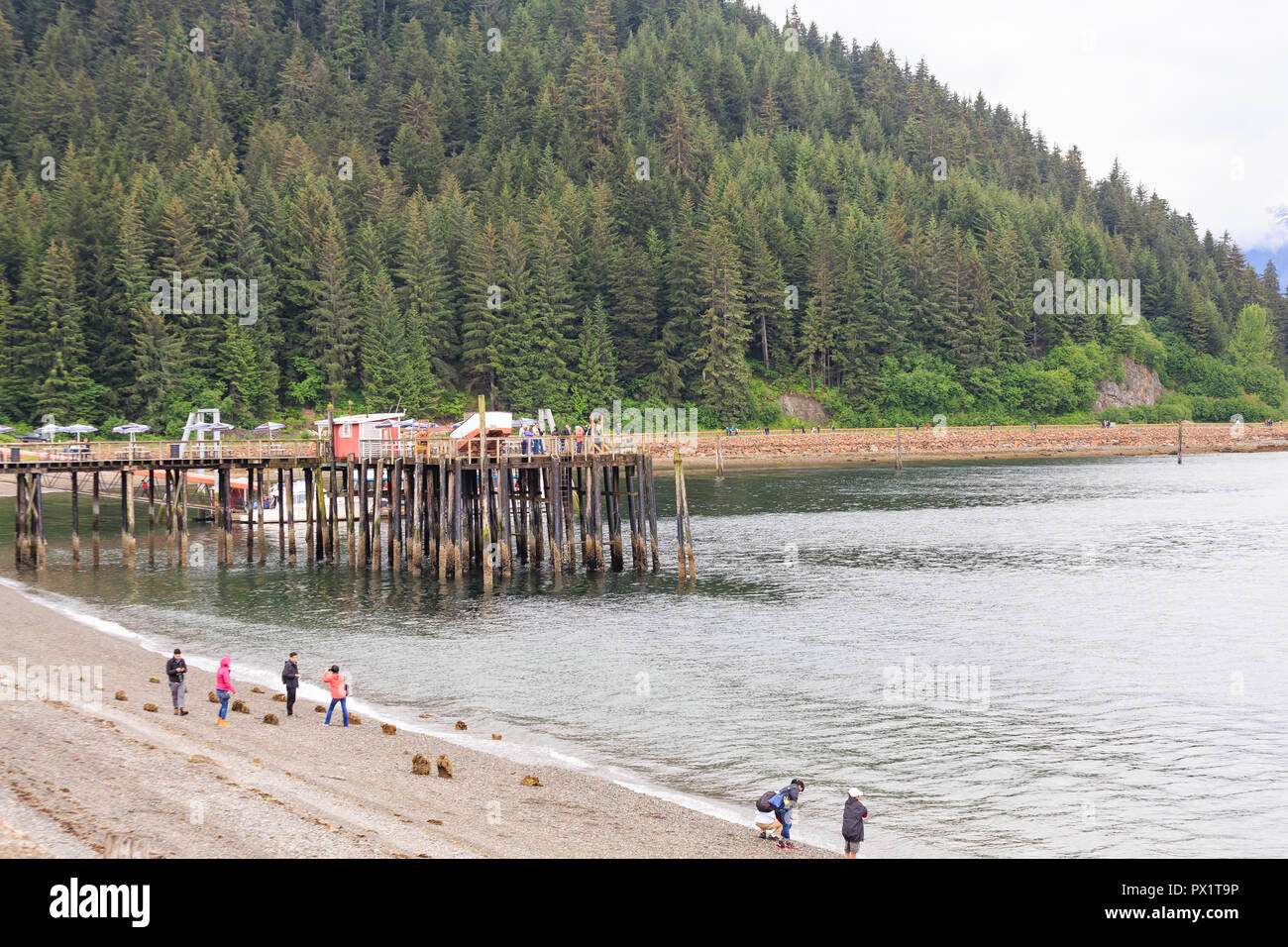Inside an old pier hi-res stock photography and images - Alamy