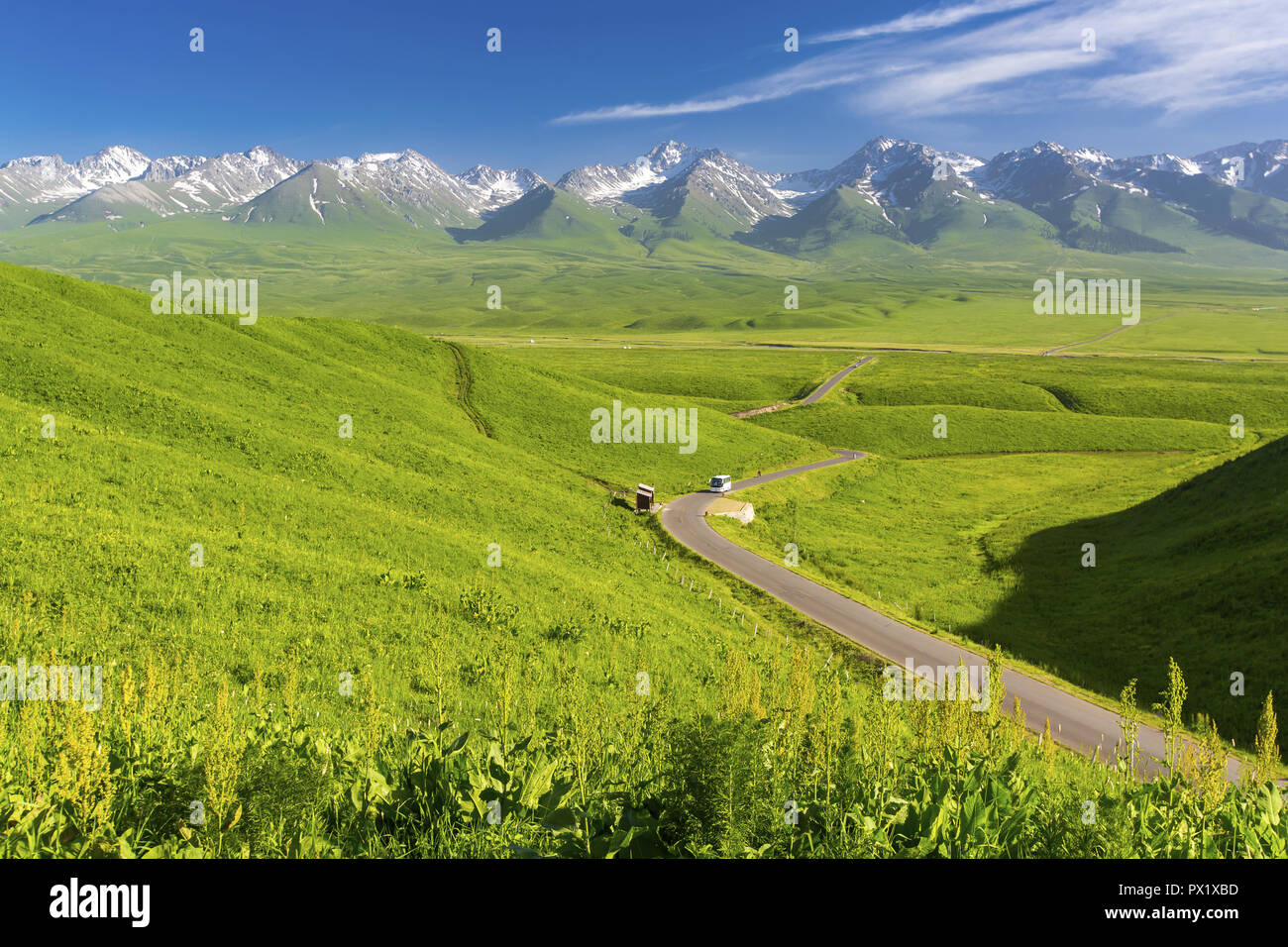 Nalati grassland hi-res stock photography and images - Alamy