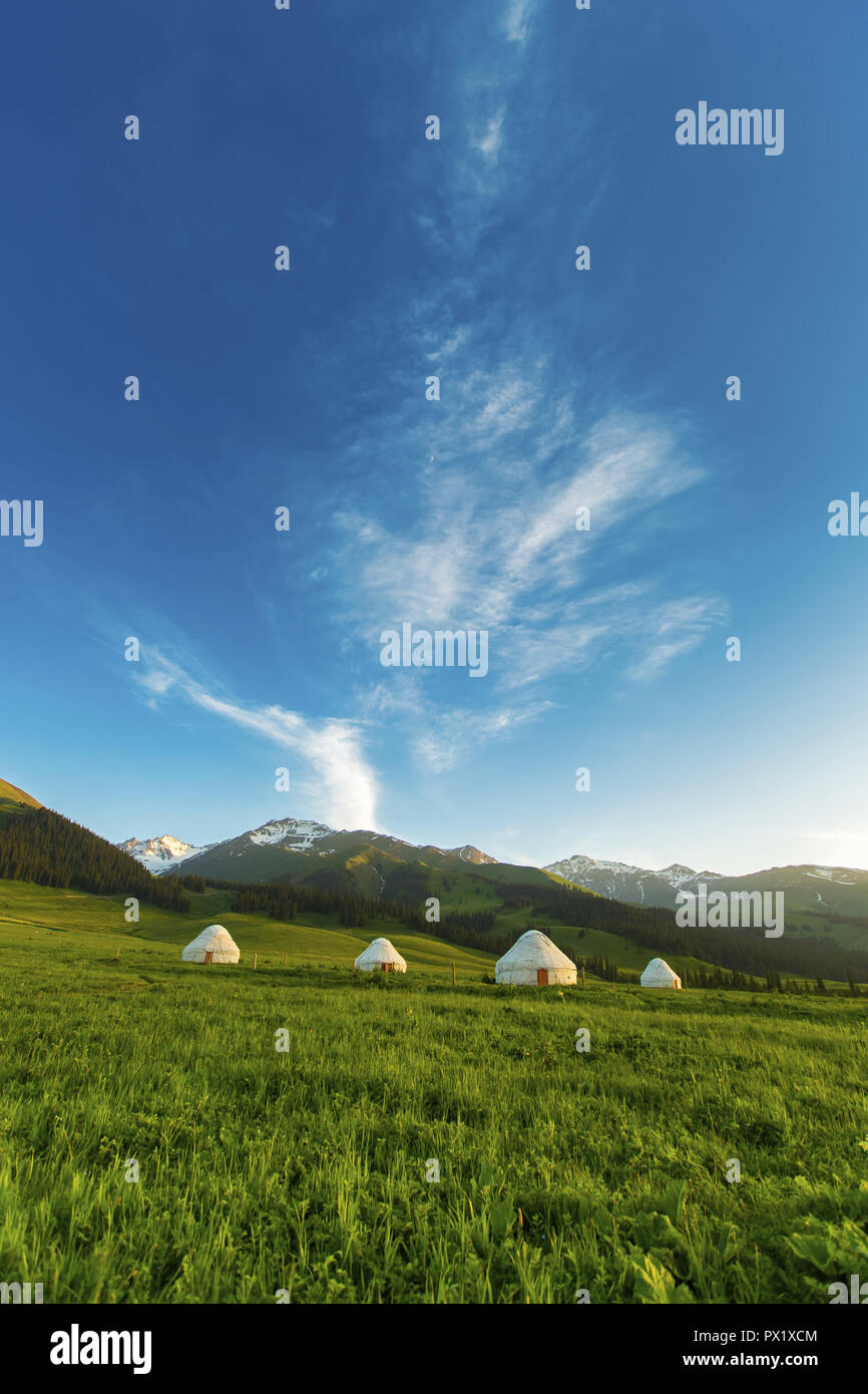 Nalati grassland hi-res stock photography and images - Alamy