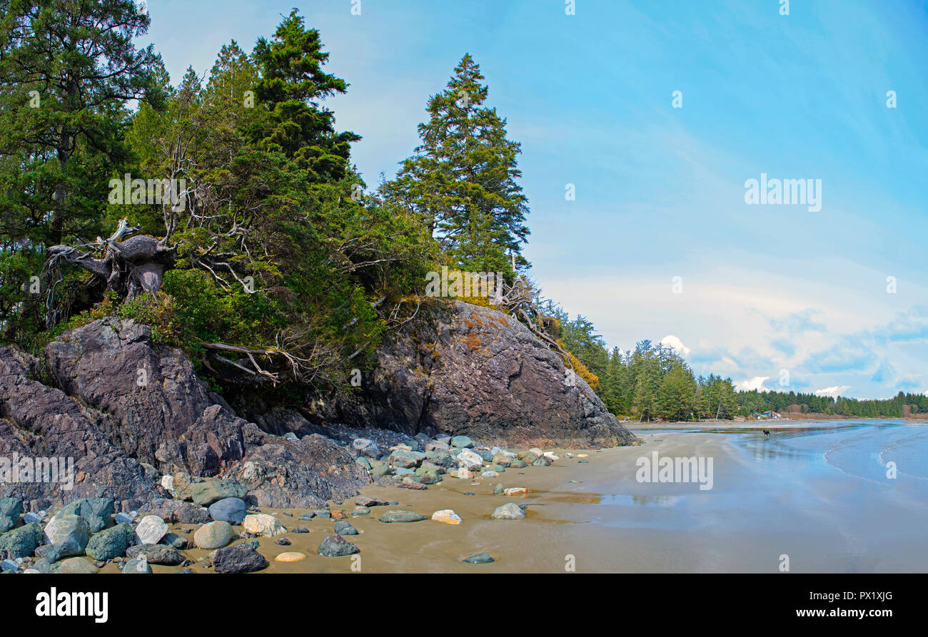 Panoramic view of rock formation with pine trees in Long Beach, Tofino ...