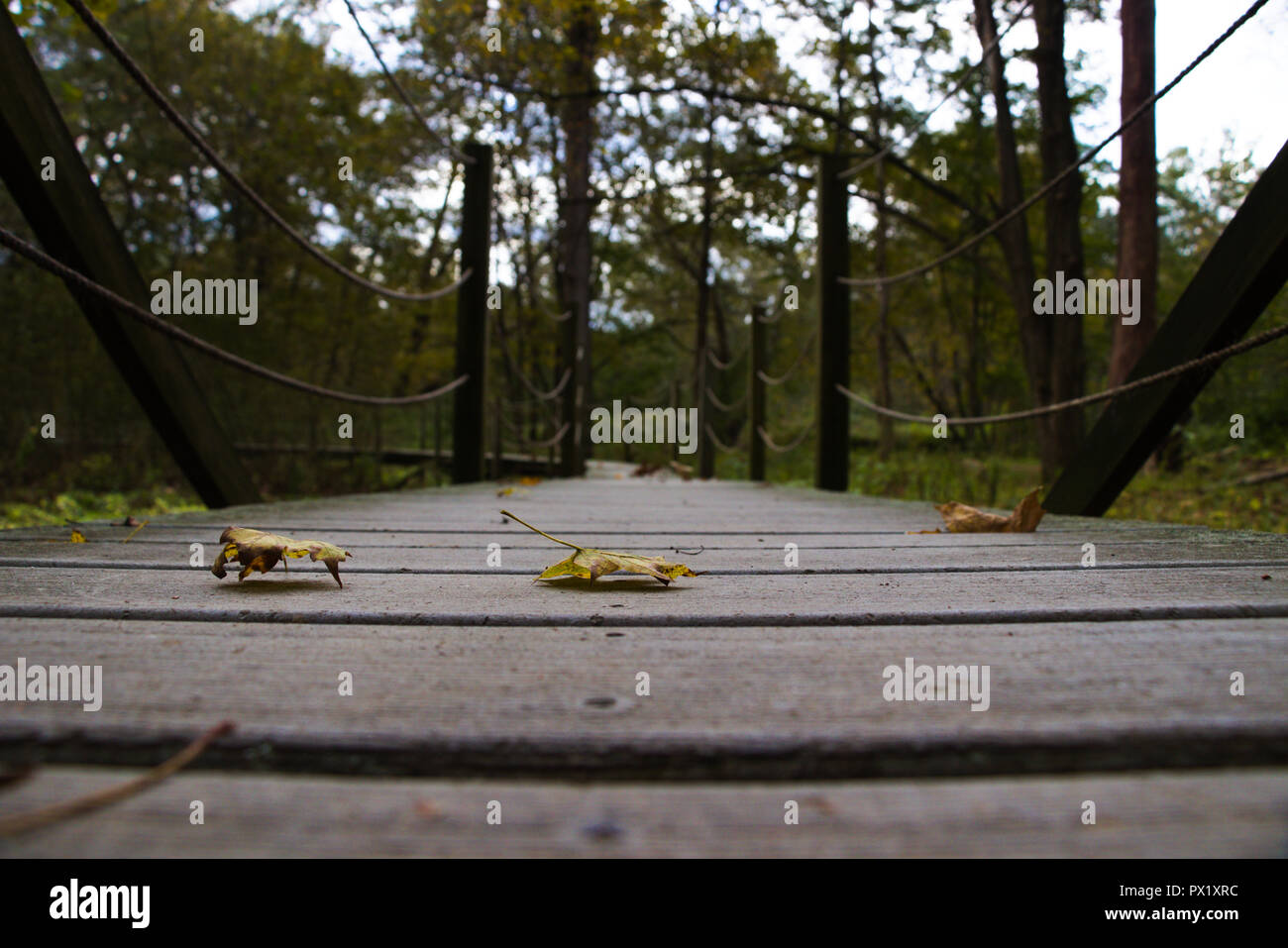 Rugged autumn forest trail hi-res stock photography and images - Alamy