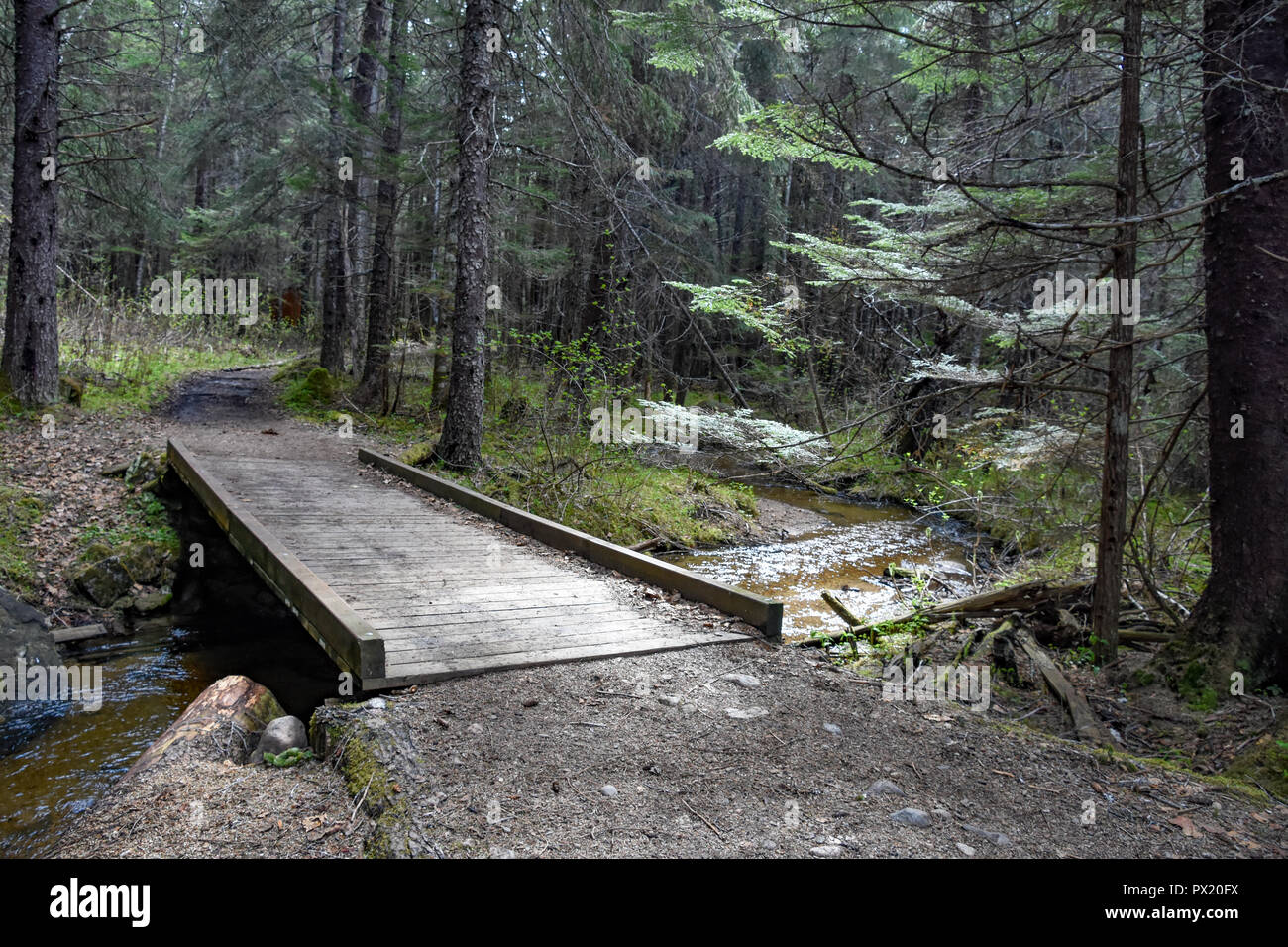 Bridge Near Lower Dewey Lake Stock Photo - Alamy