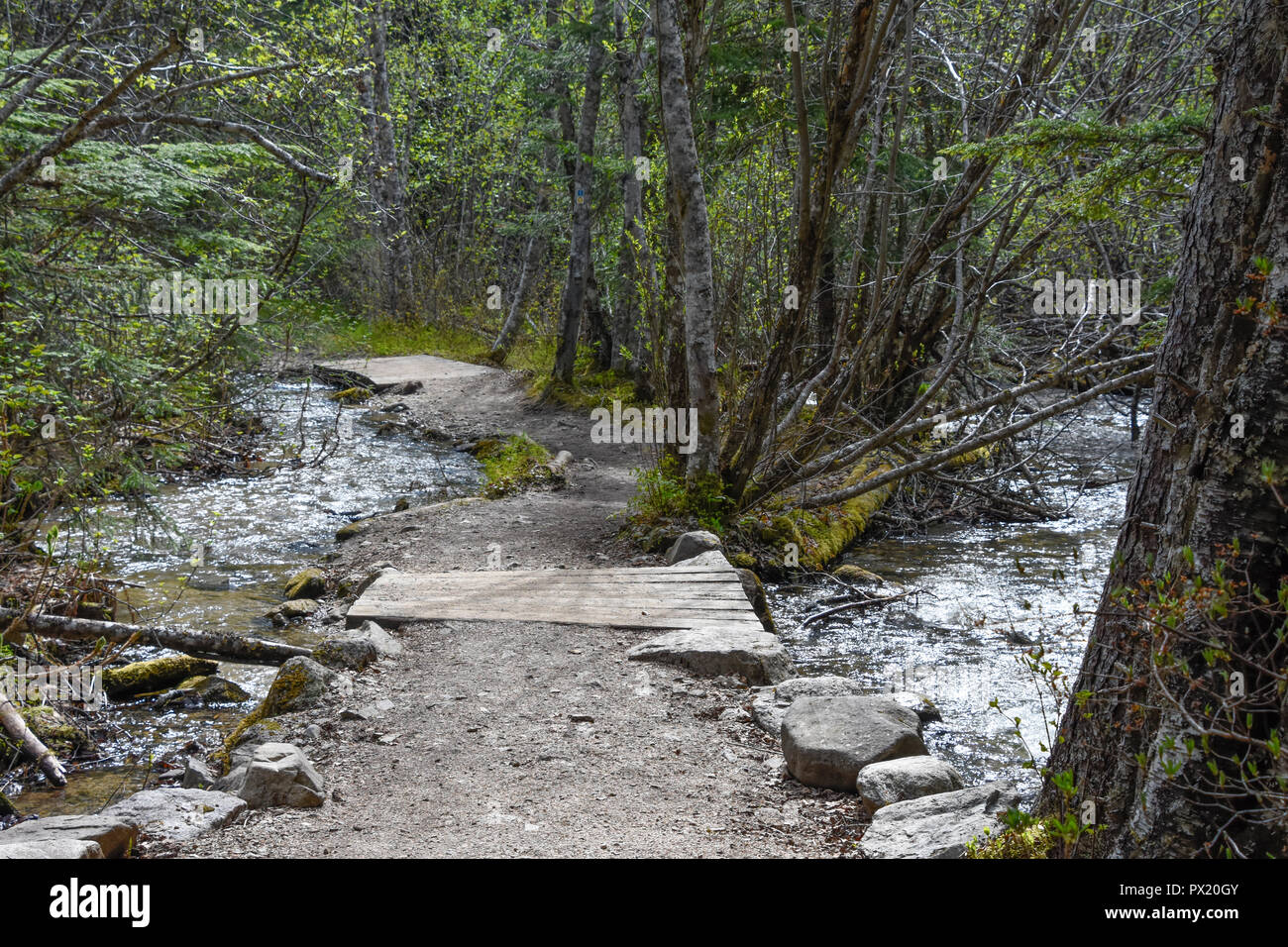 Bridge Near Lower Dewey Lake Stock Photo - Alamy