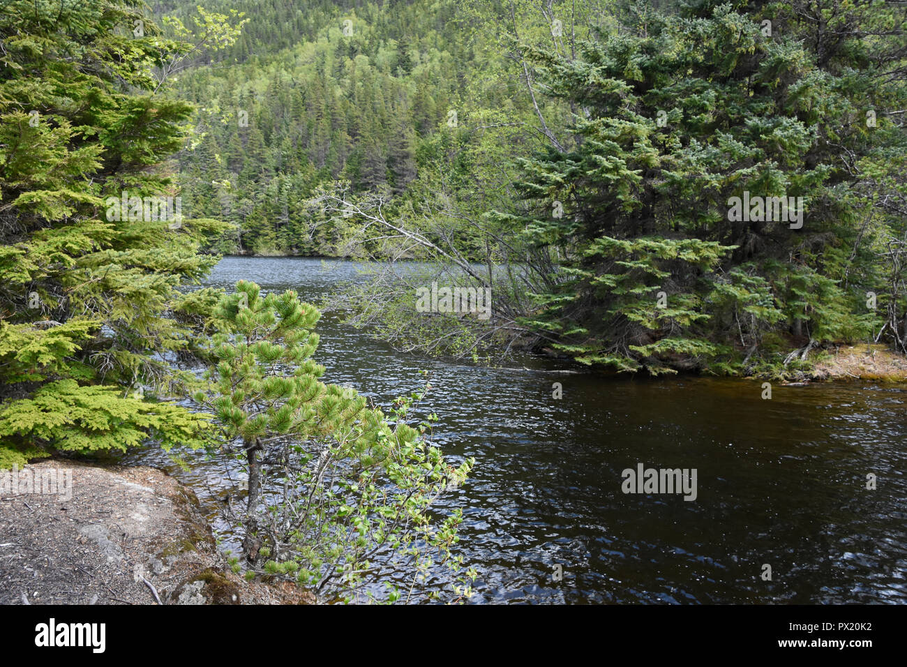 Lower dewey lake hi-res stock photography and images - Alamy