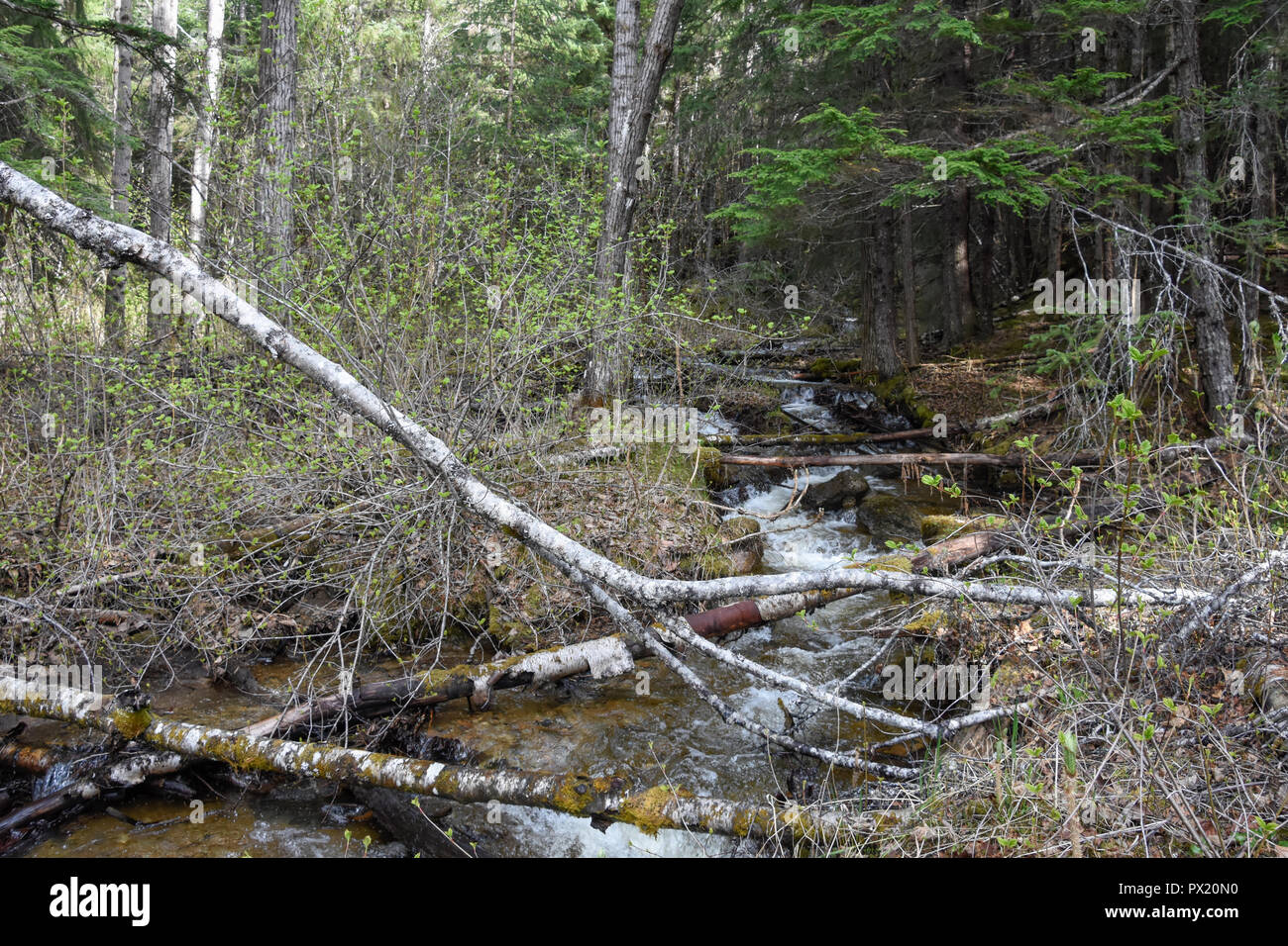 Circle creek hi-res stock photography and images - Alamy