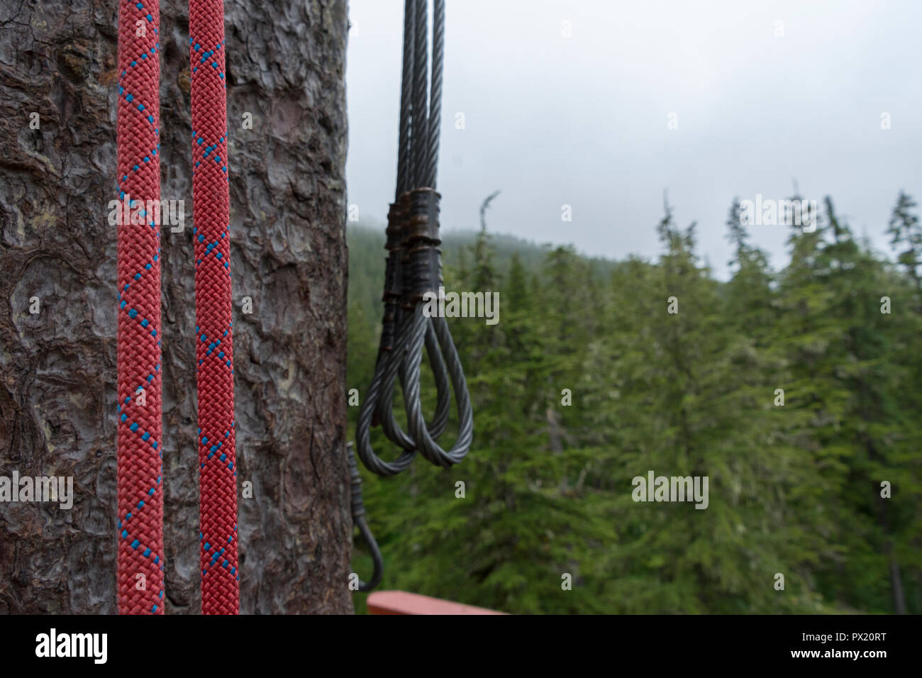Zipline zip line hi-res stock photography and images - Alamy