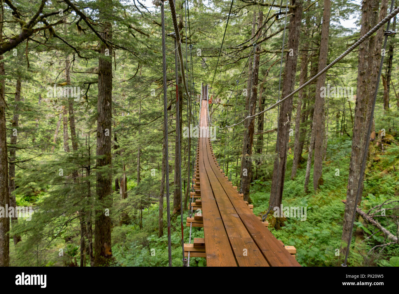 Zipline Bridge in Juneau Treetops Stock Photo - Alamy