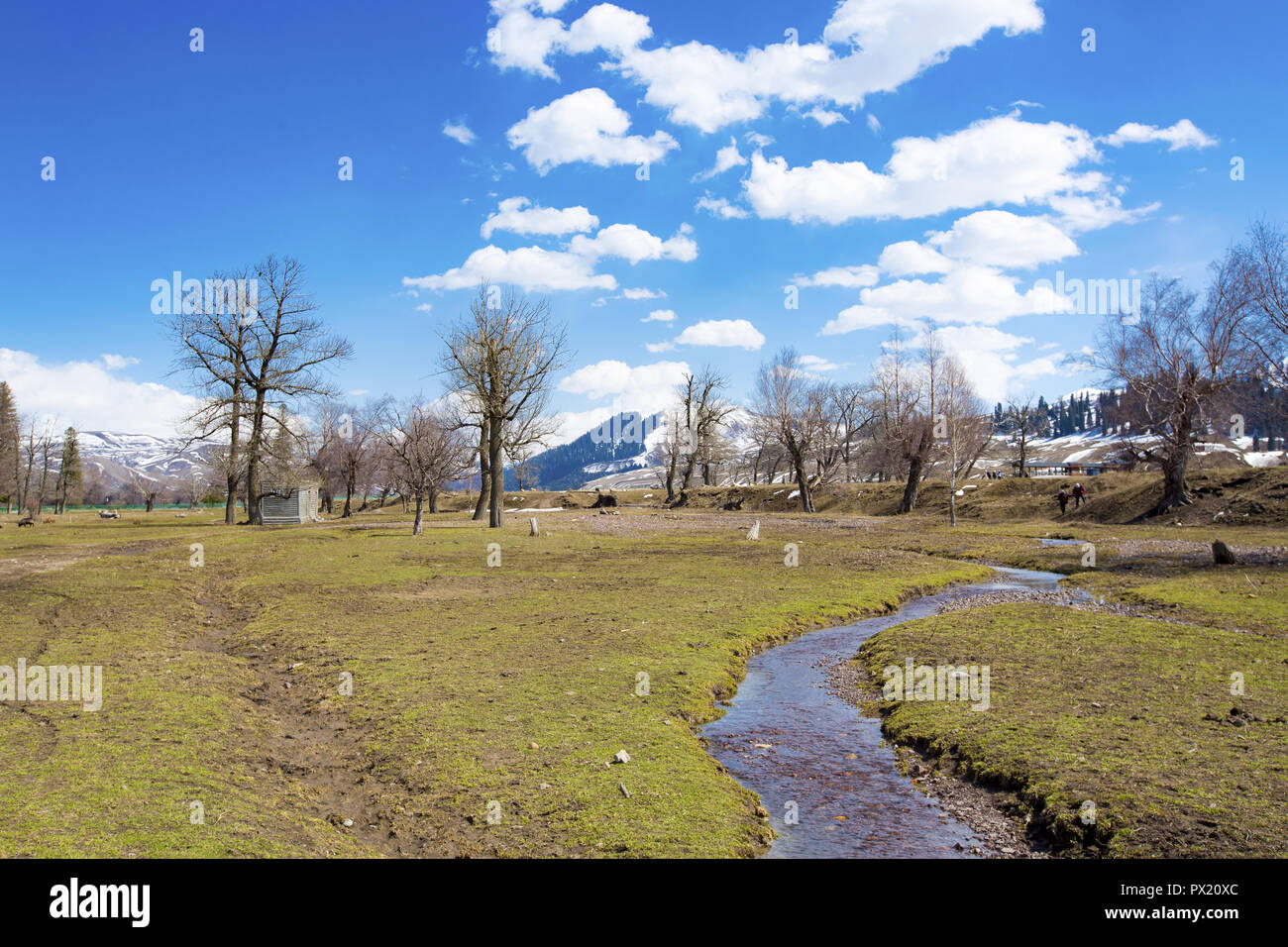 Nalati grassland hi-res stock photography and images - Alamy