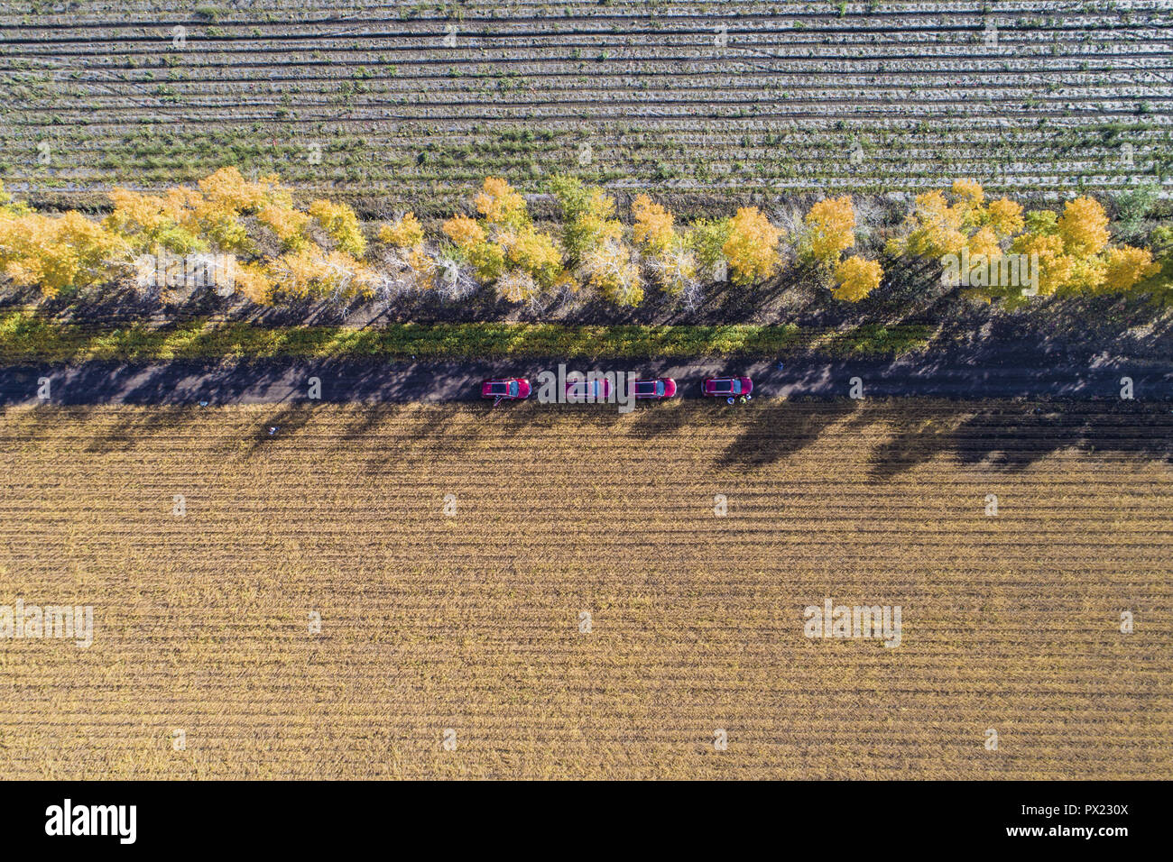 Birds eye view of the fallow ground in Lesser Khingan Stock Photo - Alamy