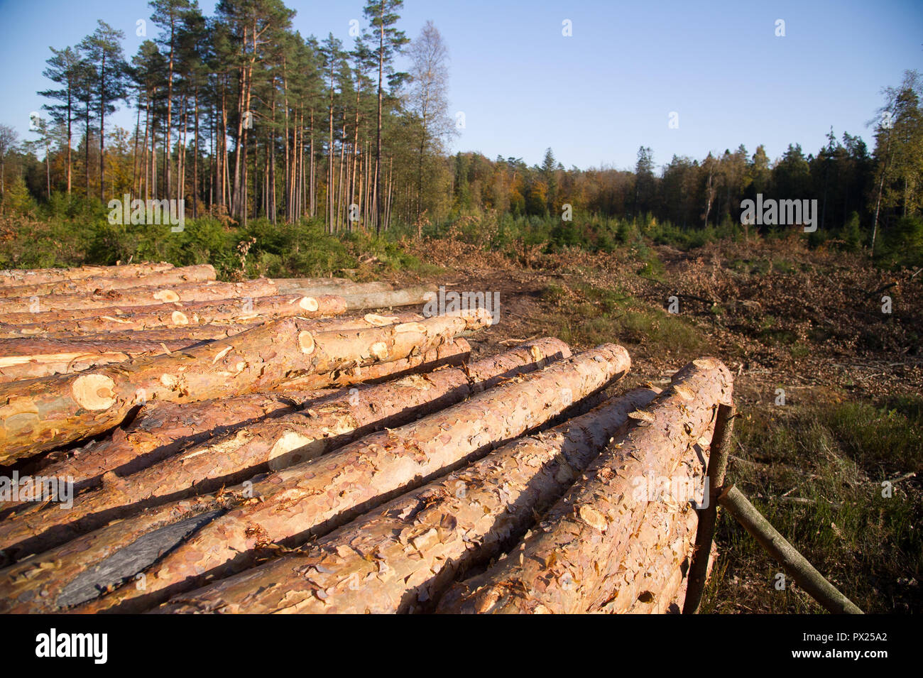 Mirachowo hi-res stock photography and images - Alamy