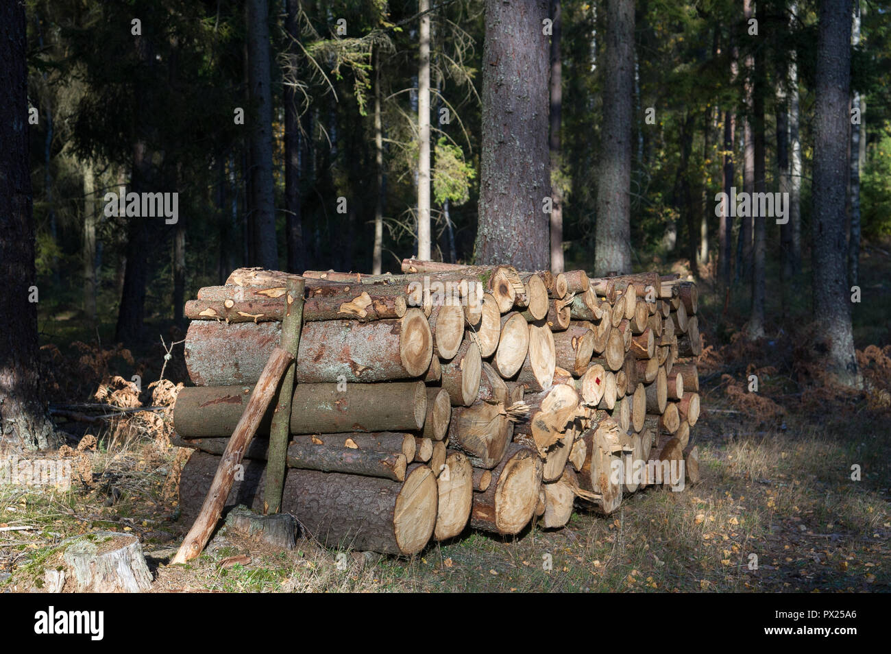 Mirachowo hi-res stock photography and images - Alamy