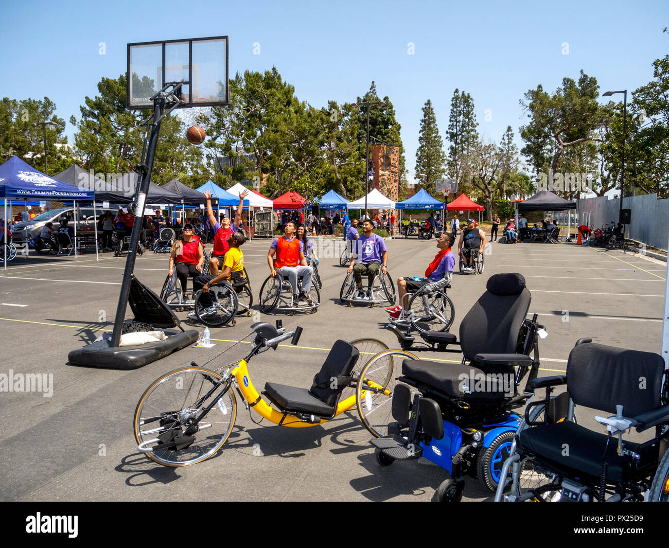 Multiracial handicapped members of a wheelchair basketball team play a ...