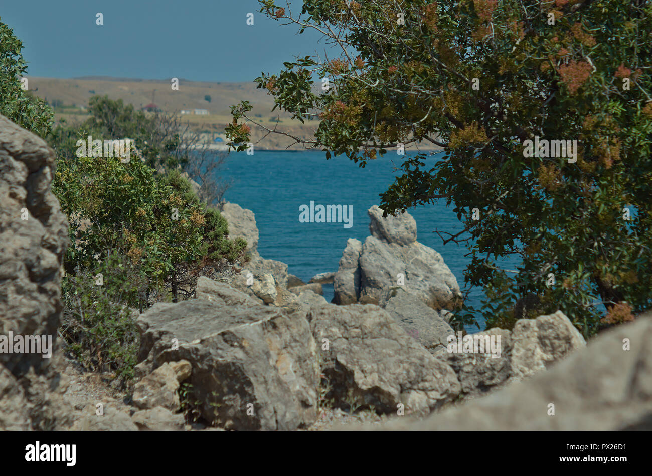 the sea. rocks. summer Stock Photo - Alamy