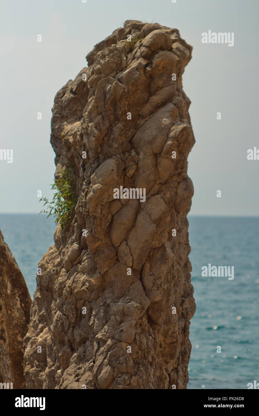 the sea. rocks. summer Stock Photo - Alamy