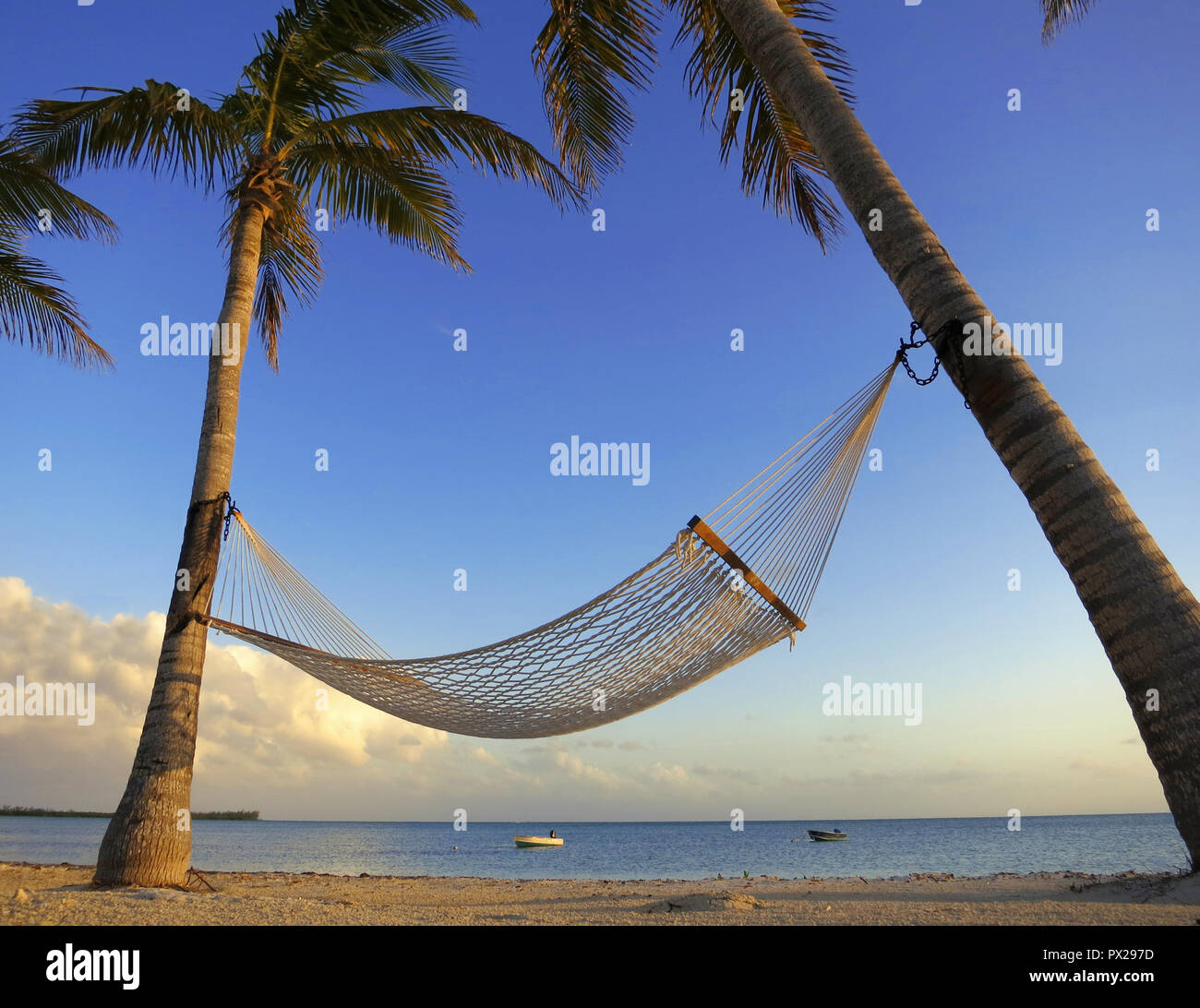 Hammock and palm trees at sunset near Cherokee Sound, Abaco, Bahamas ...
