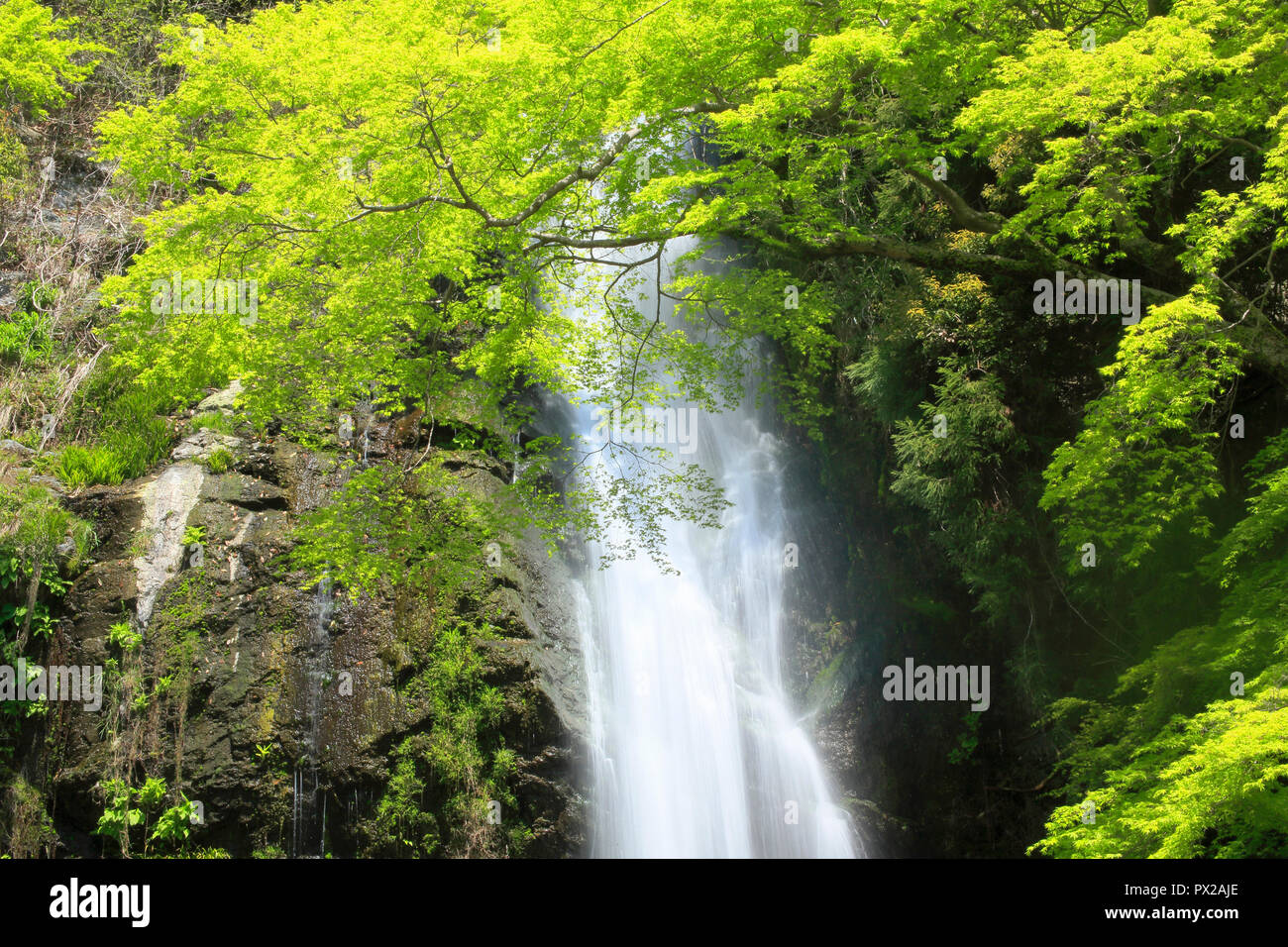 Minoooo waterfall hi-res stock photography and images - Alamy