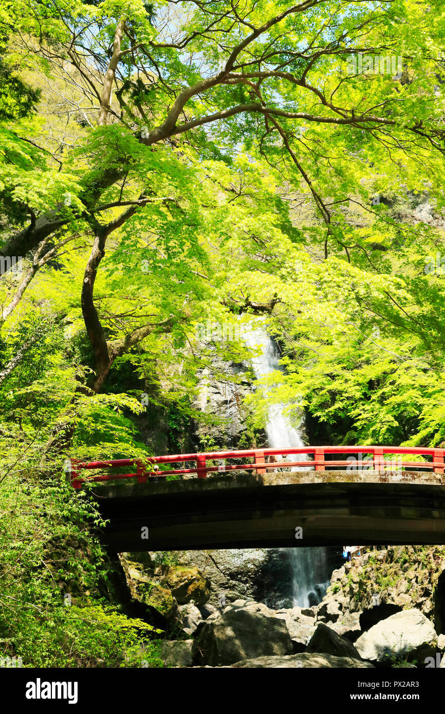 Minoo hi-res stock photography and images - Alamy