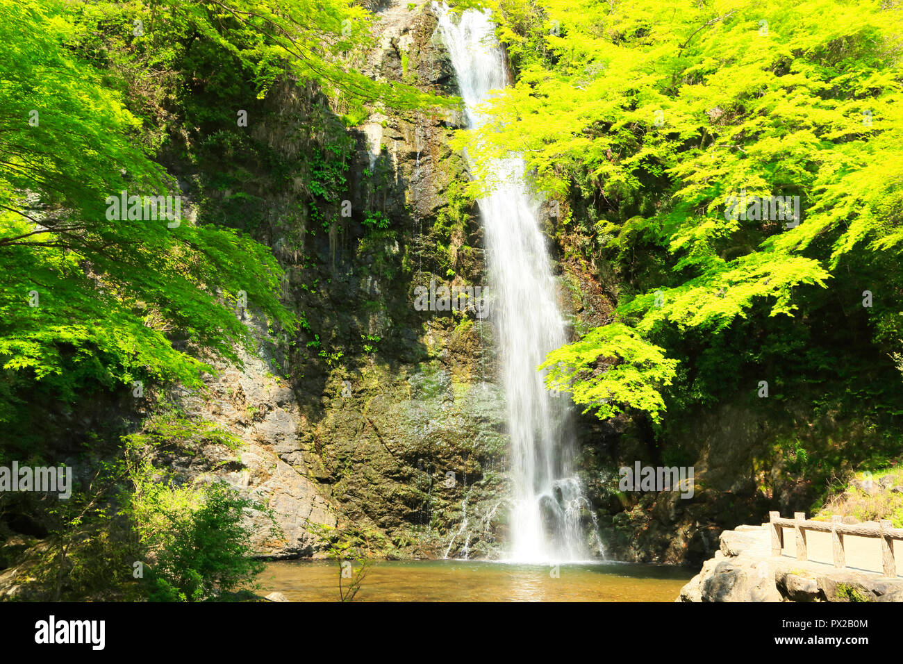 Fresh green Mino Falls Stock Photo - Alamy
