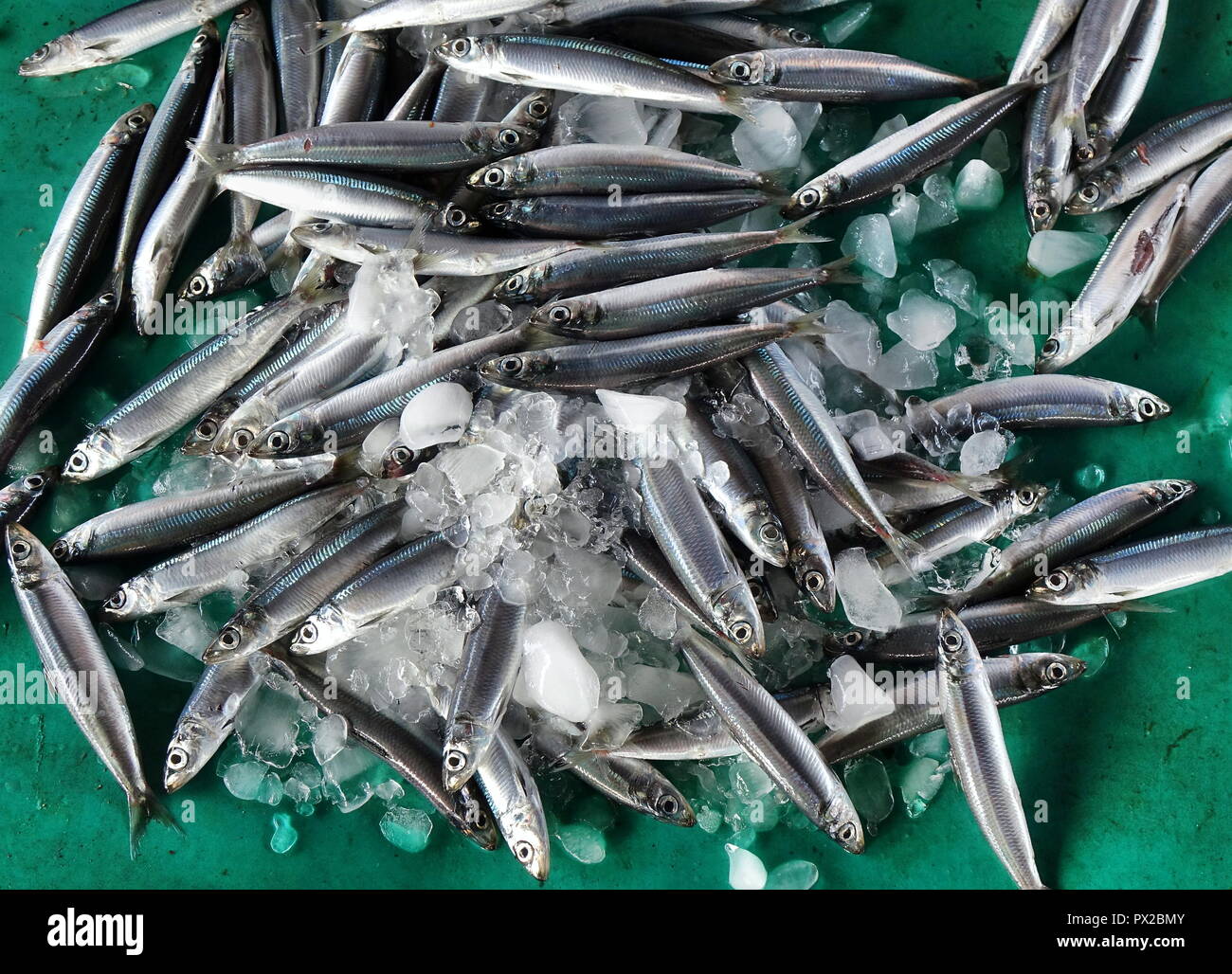 Fresh fish offered at the market hi-res stock photography and images ...