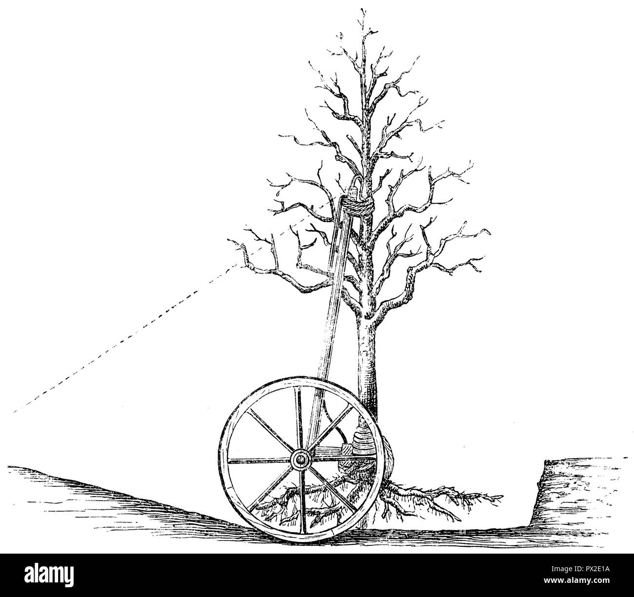 Planting trolley: transport of trees, 1877 Stock Photo - Alamy