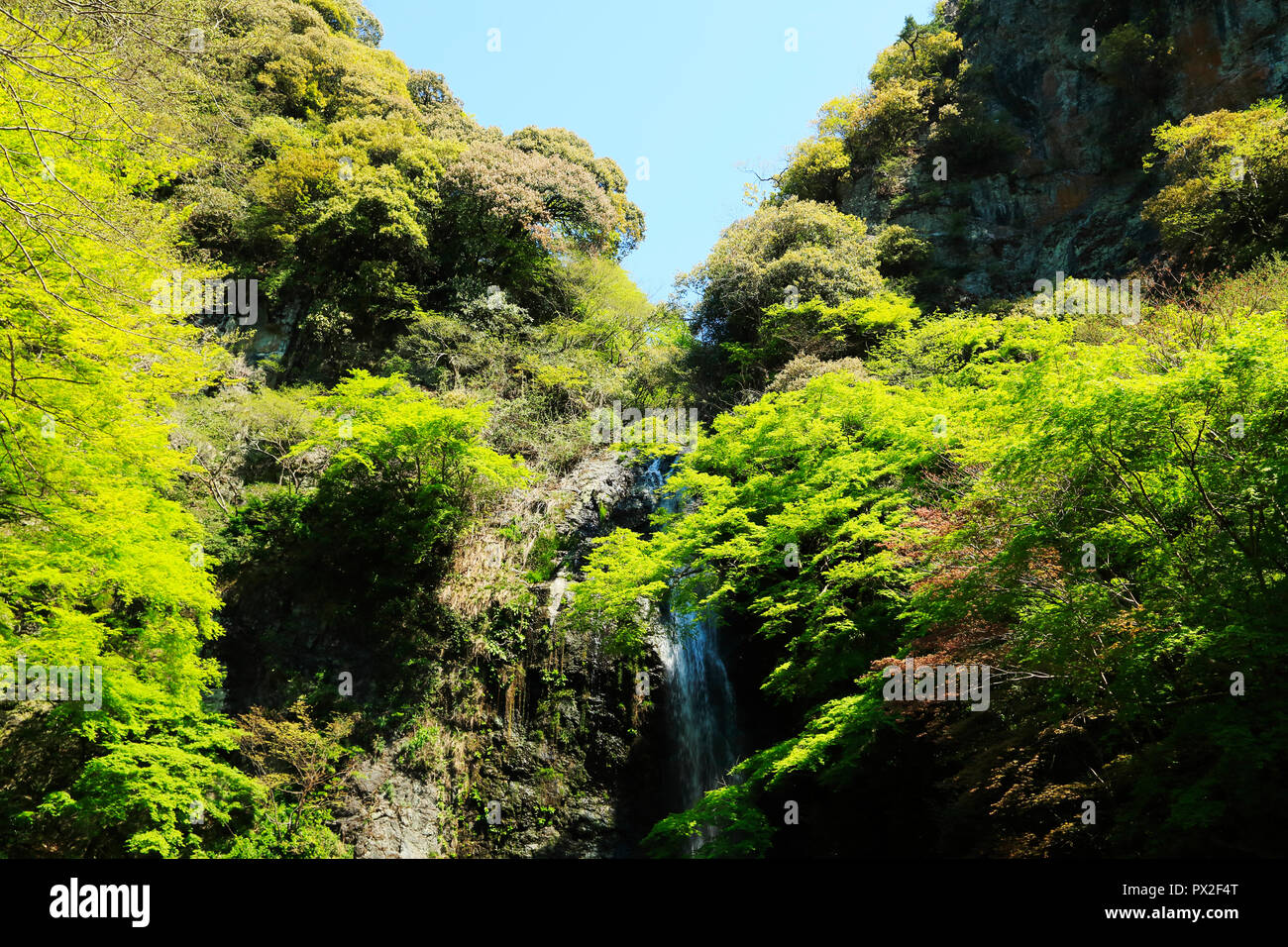 Minoo hi-res stock photography and images - Alamy