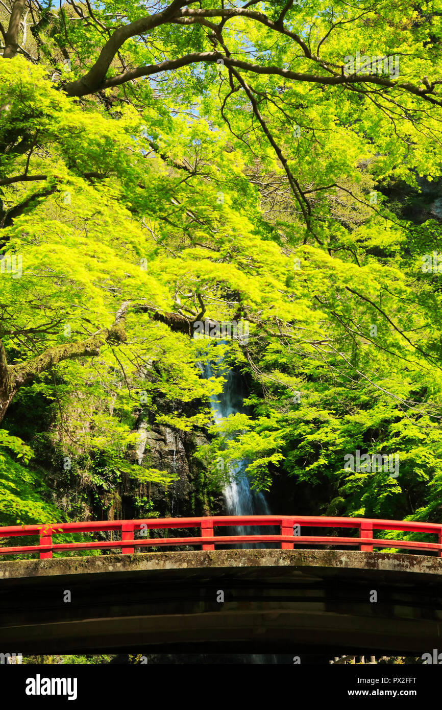 Minoo falls hi-res stock photography and images - Alamy