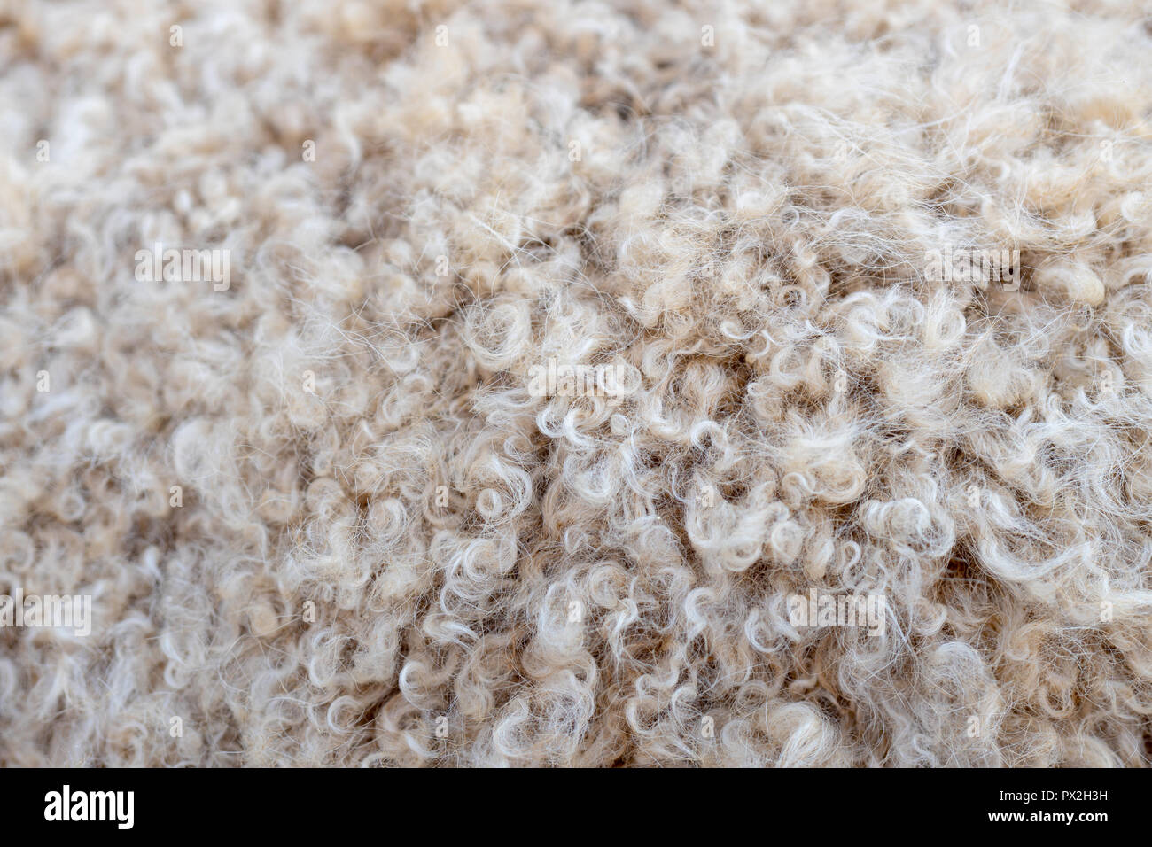 Lamb skin wool hi-res stock photography and images - Alamy