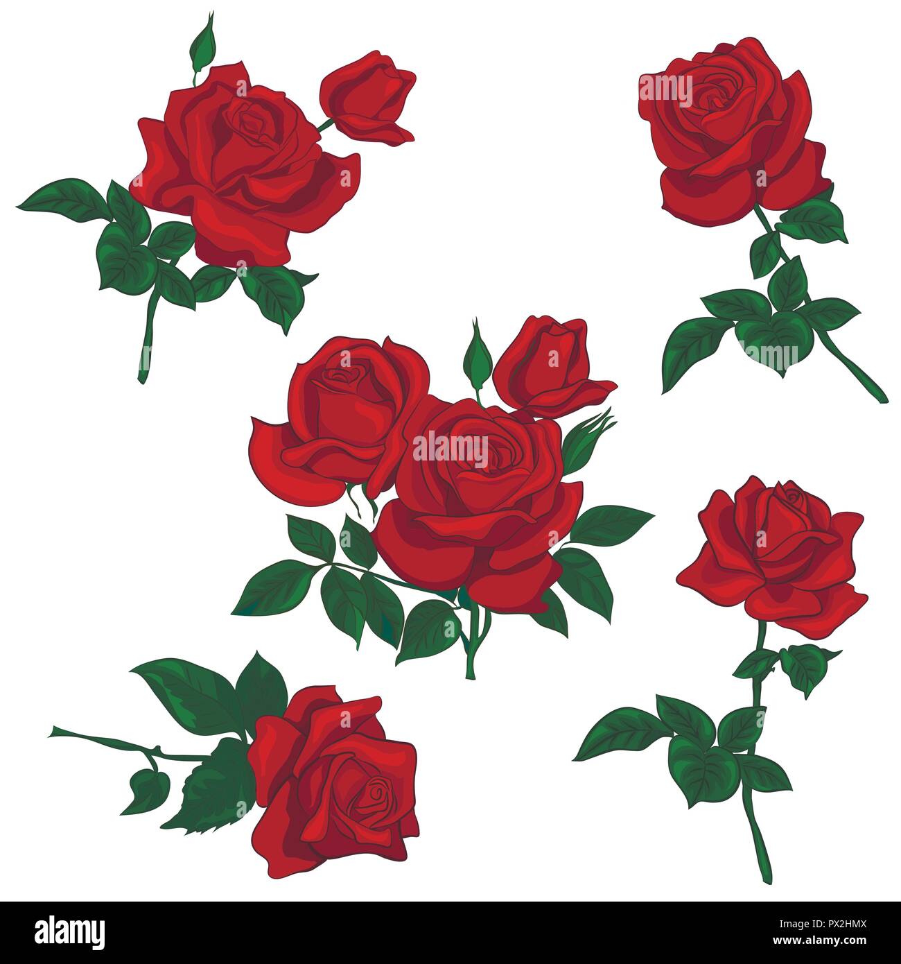 Beautiful close up rose Stock Vector Images - Alamy