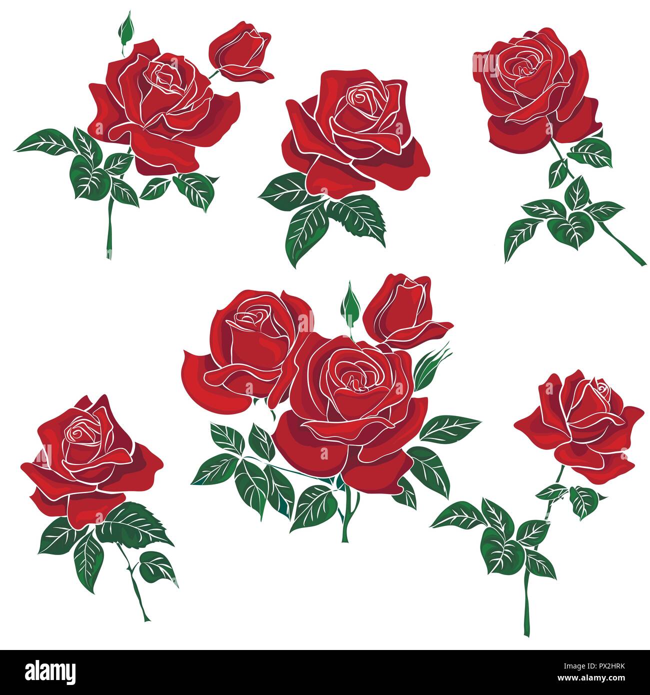 Green nature rose Stock Vector Images - Alamy