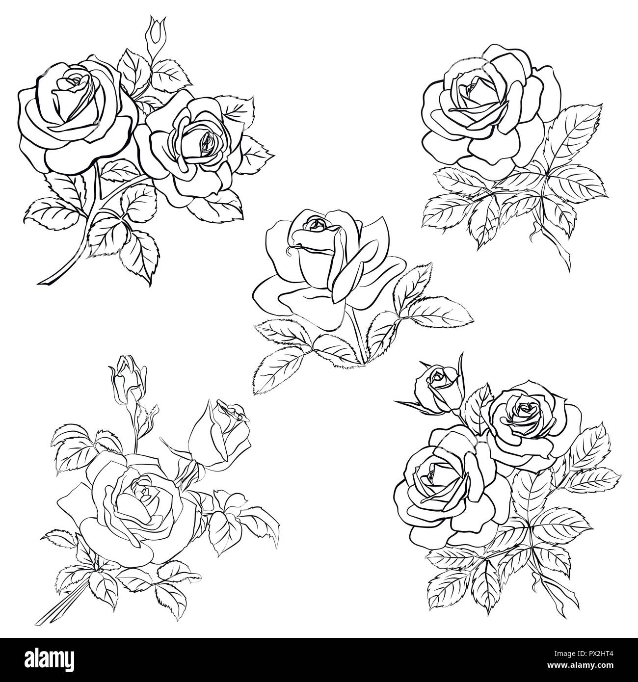 Rose stem thorn Stock Vector Images - Alamy