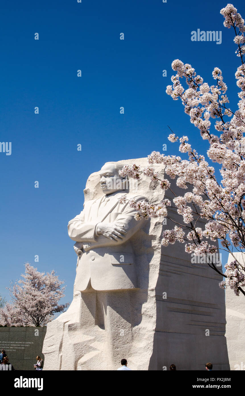 Martin Luther King Jr Memorial during Cherry Blossom Festival season in ...