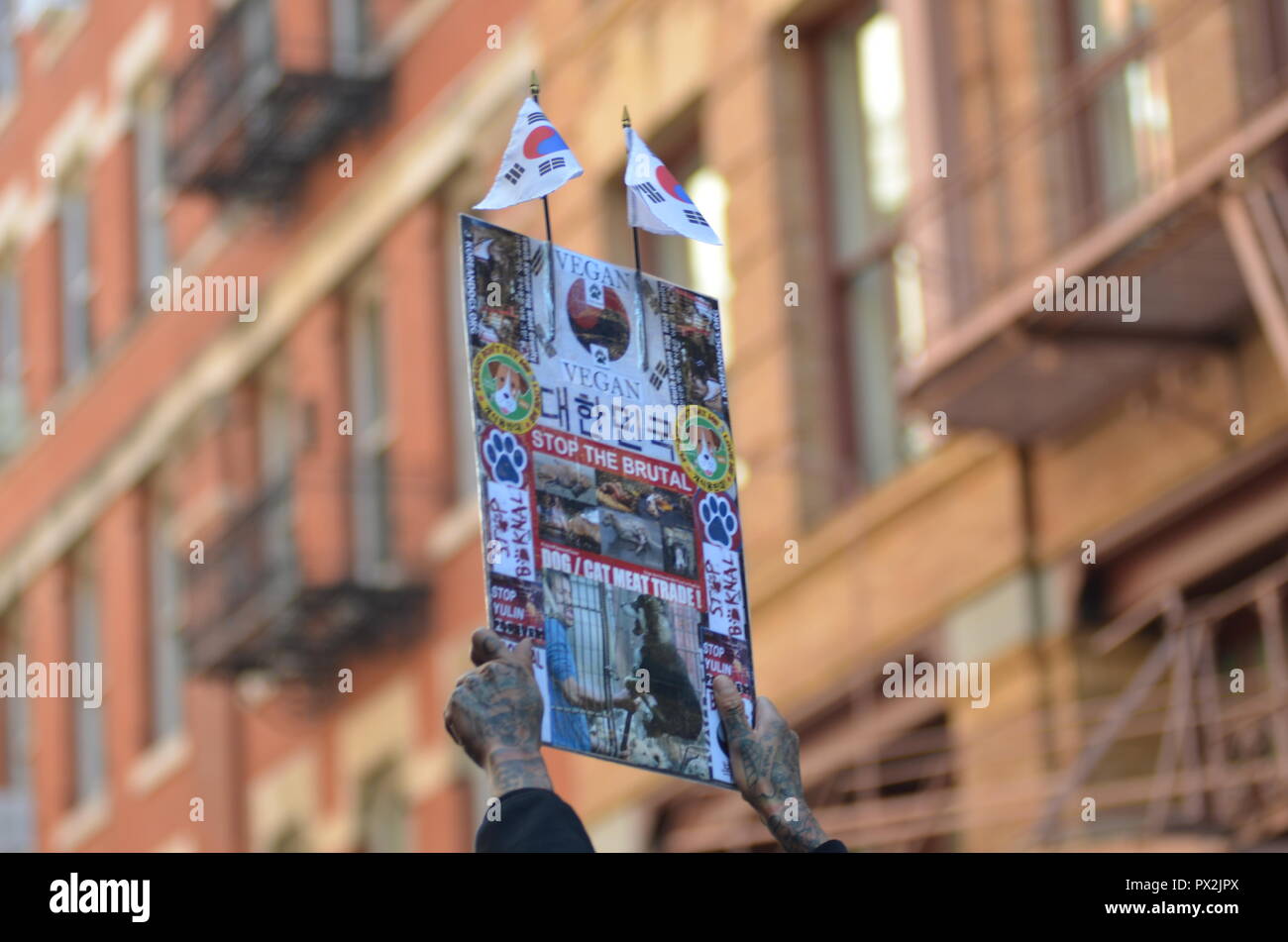 Canada goose protest new york hi-res stock photography and images - Alamy