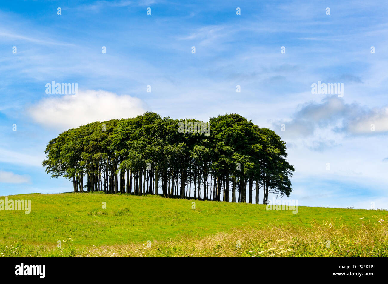 Cornish Border High Resolution Stock Photography and Images - Alamy