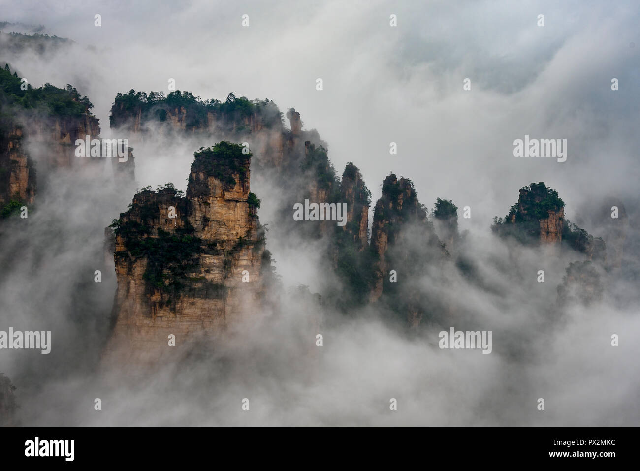 Early morning mist in the Tianzi Mountain Natural Reserve near ...