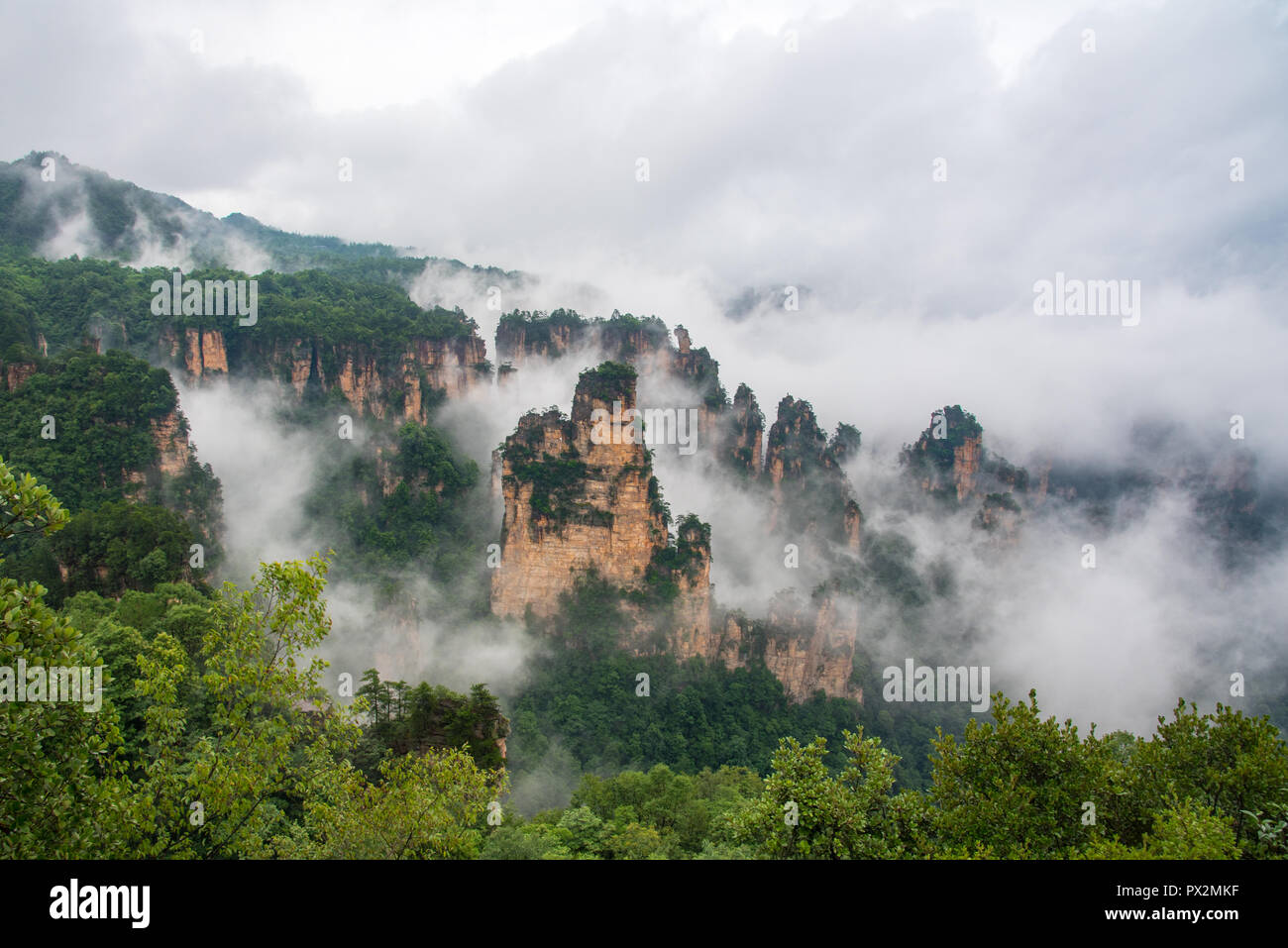 Early morning mist in the Tianzi Mountain Natural Reserve near ...