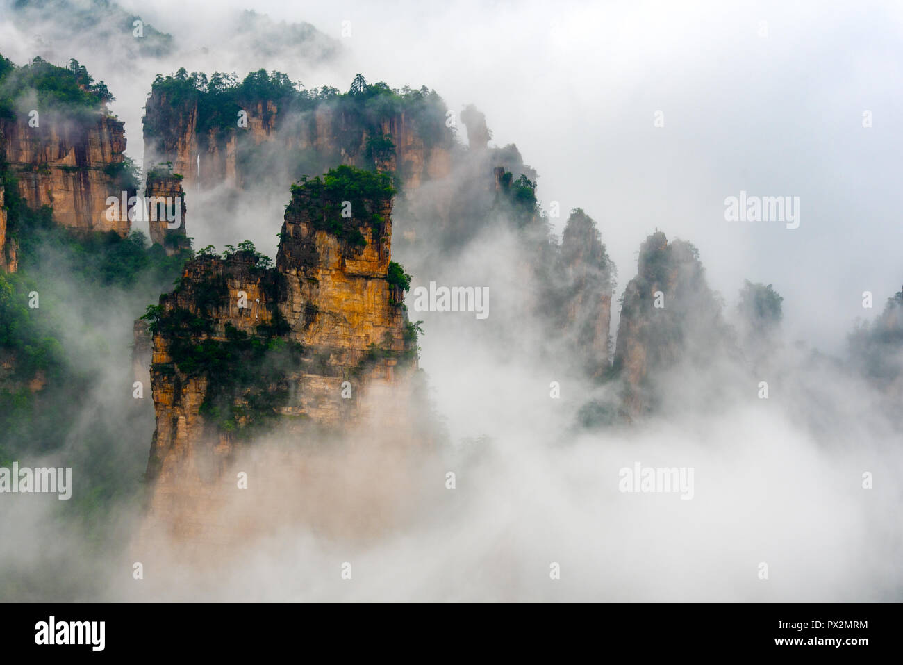 Helong park hi-res stock photography and images - Alamy