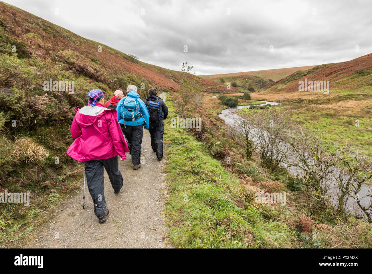The Two Moors Way and the River Barle near Simonsbath, Exmoor, UK Stock ...