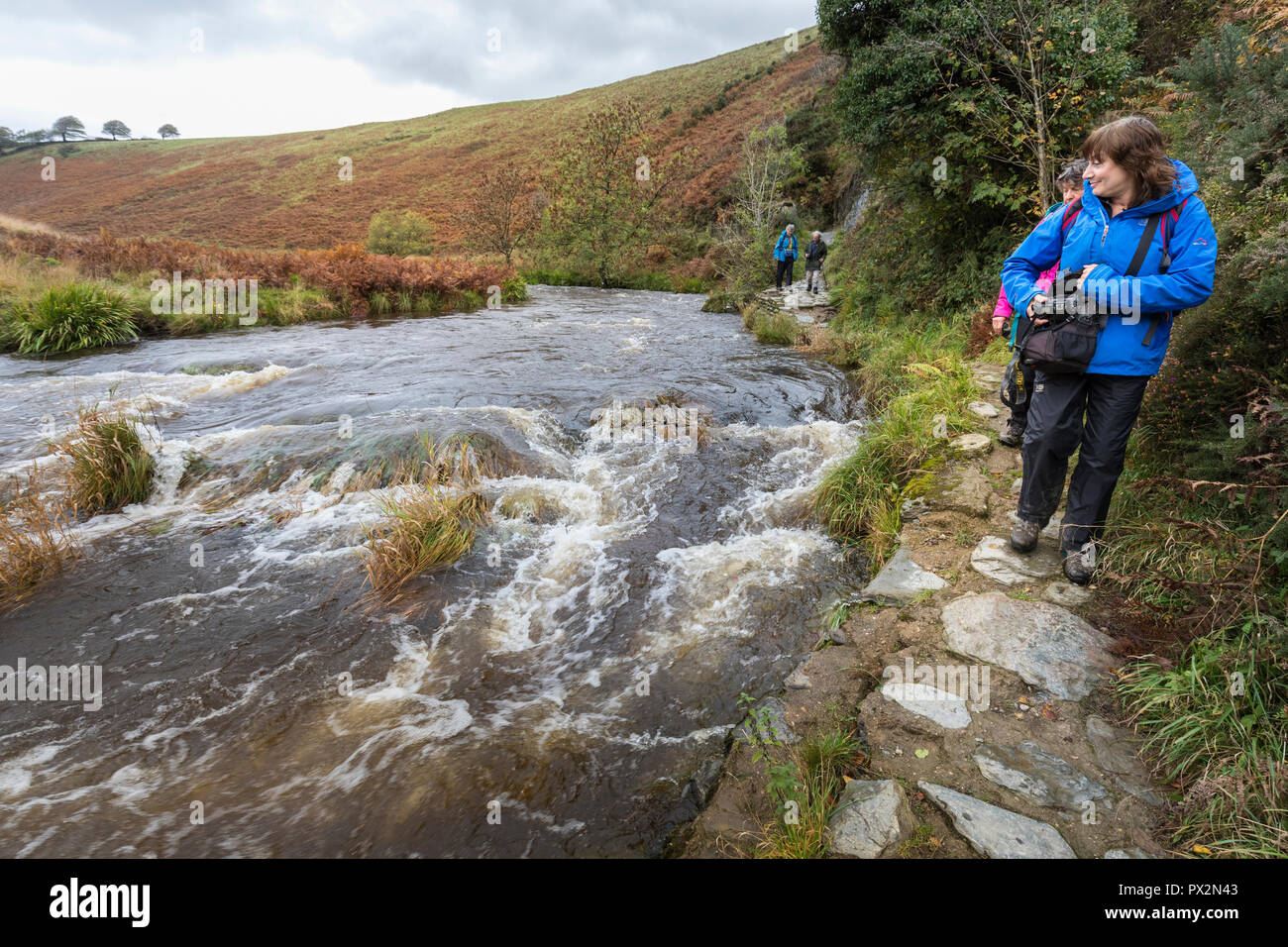 The Two Moors Way and the River Barle near Simonsbath, Exmoor, UK Stock ...