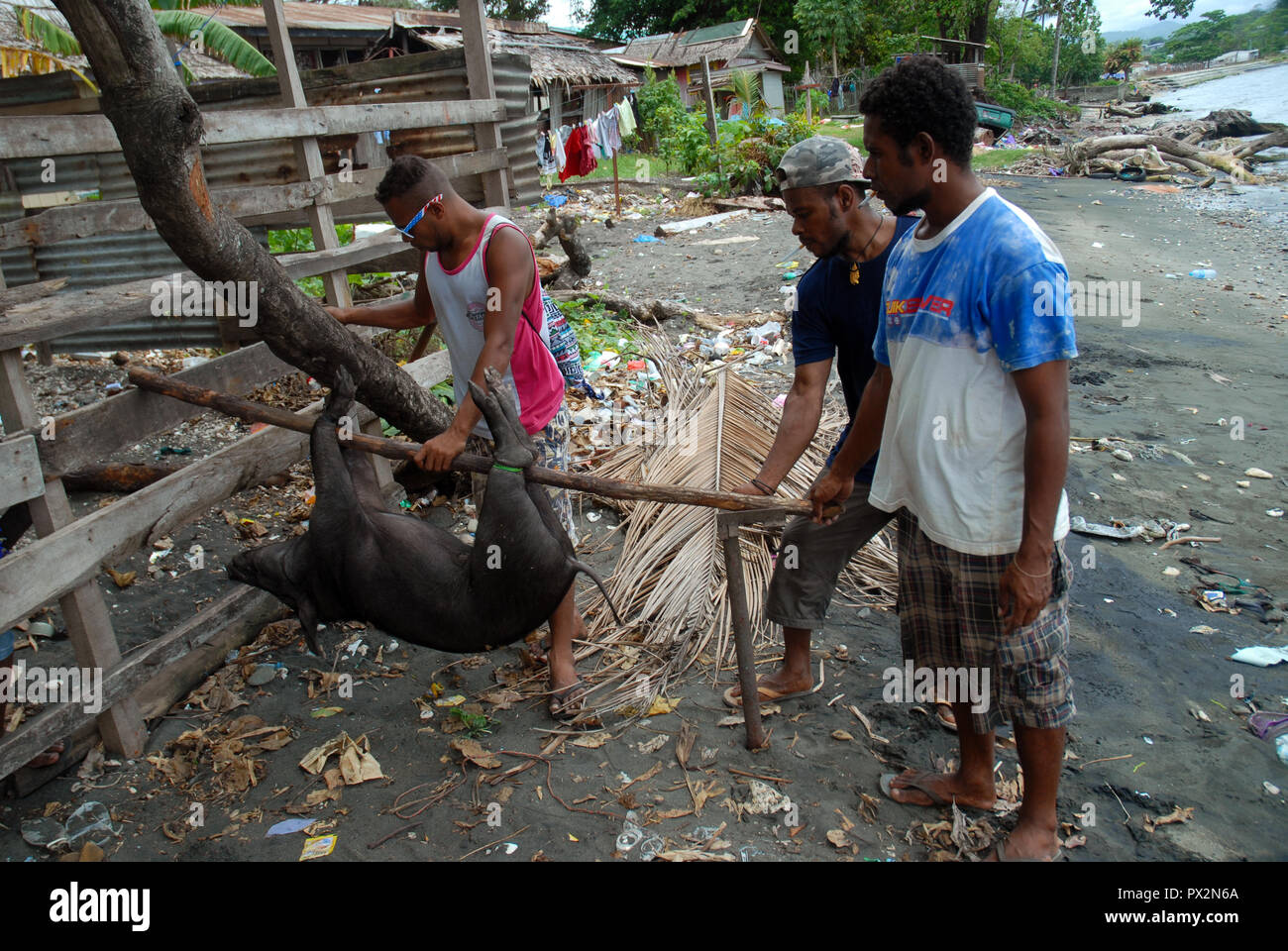 Men preparing a fire to burn off the fur of a newly slaughtered pig ...