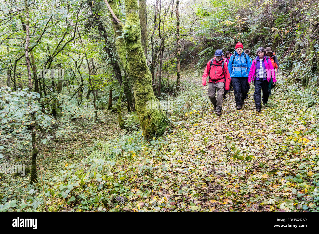 Exmoor national park walking hi-res stock photography and images - Alamy